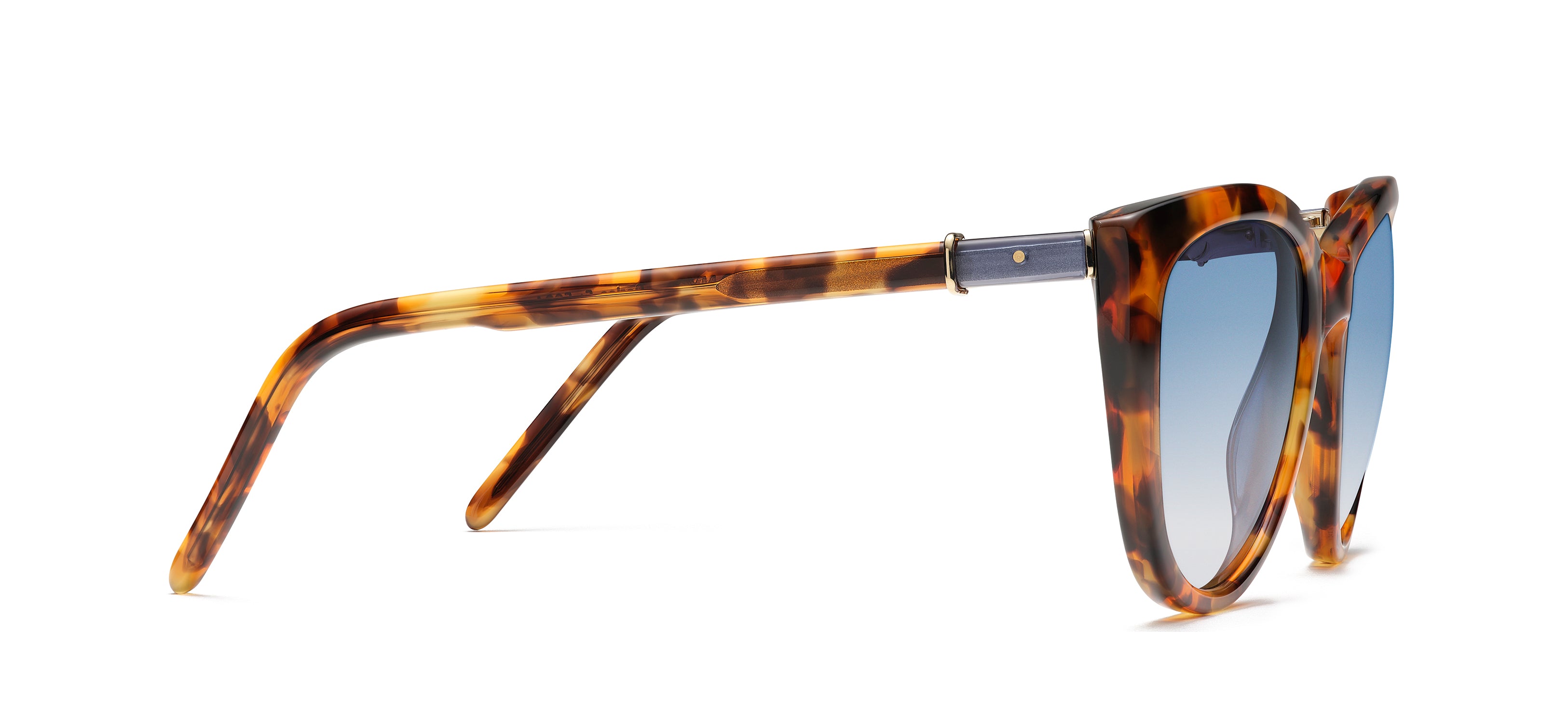 NYC Jazz - RMNYC 5004 in Autumn Leaves 413 – ROBERT MARC